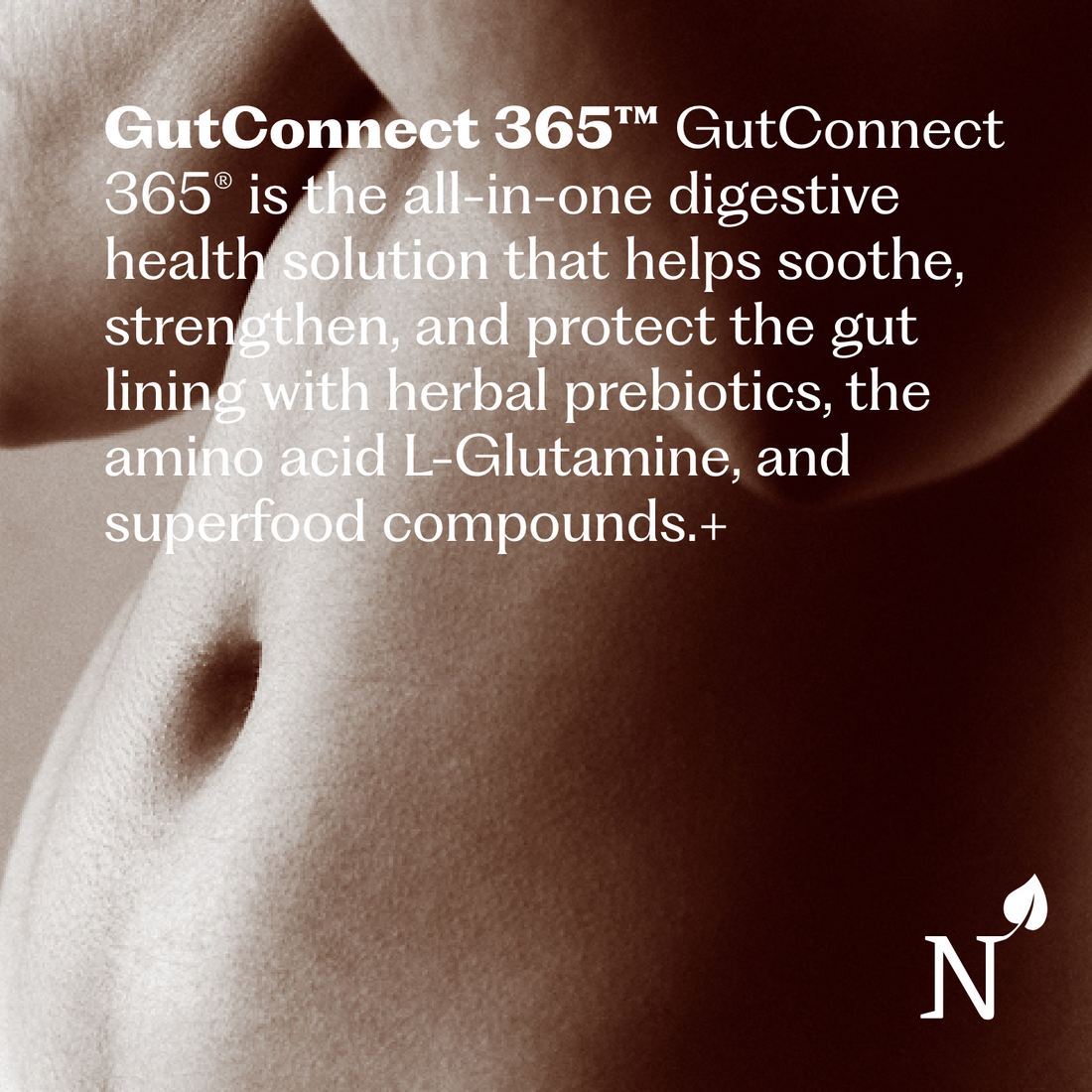 GutConnect 365® - Vanilla Cinnamon – Nature M.D.