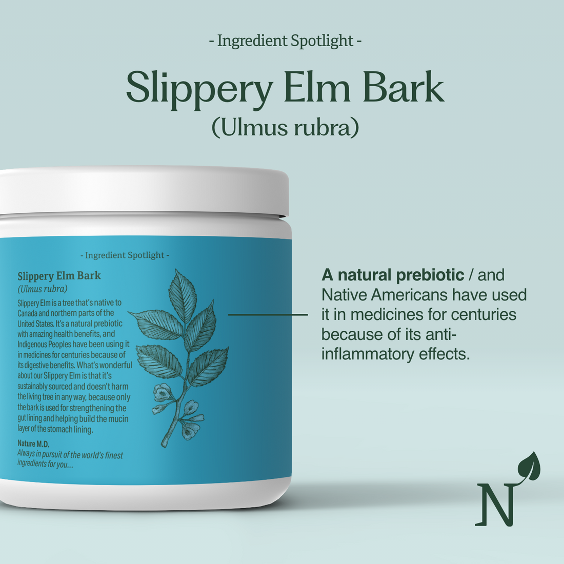 GutConnect 365® - Vanilla Cinnamon – Nature M.D.