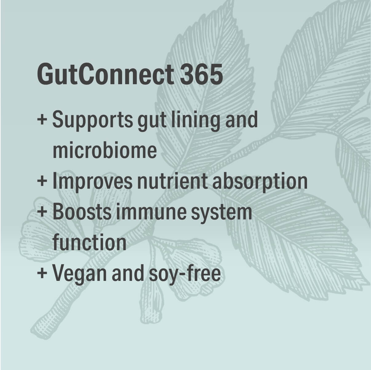 GutConnect 365® - Vanilla Cinnamon – Nature M.D.